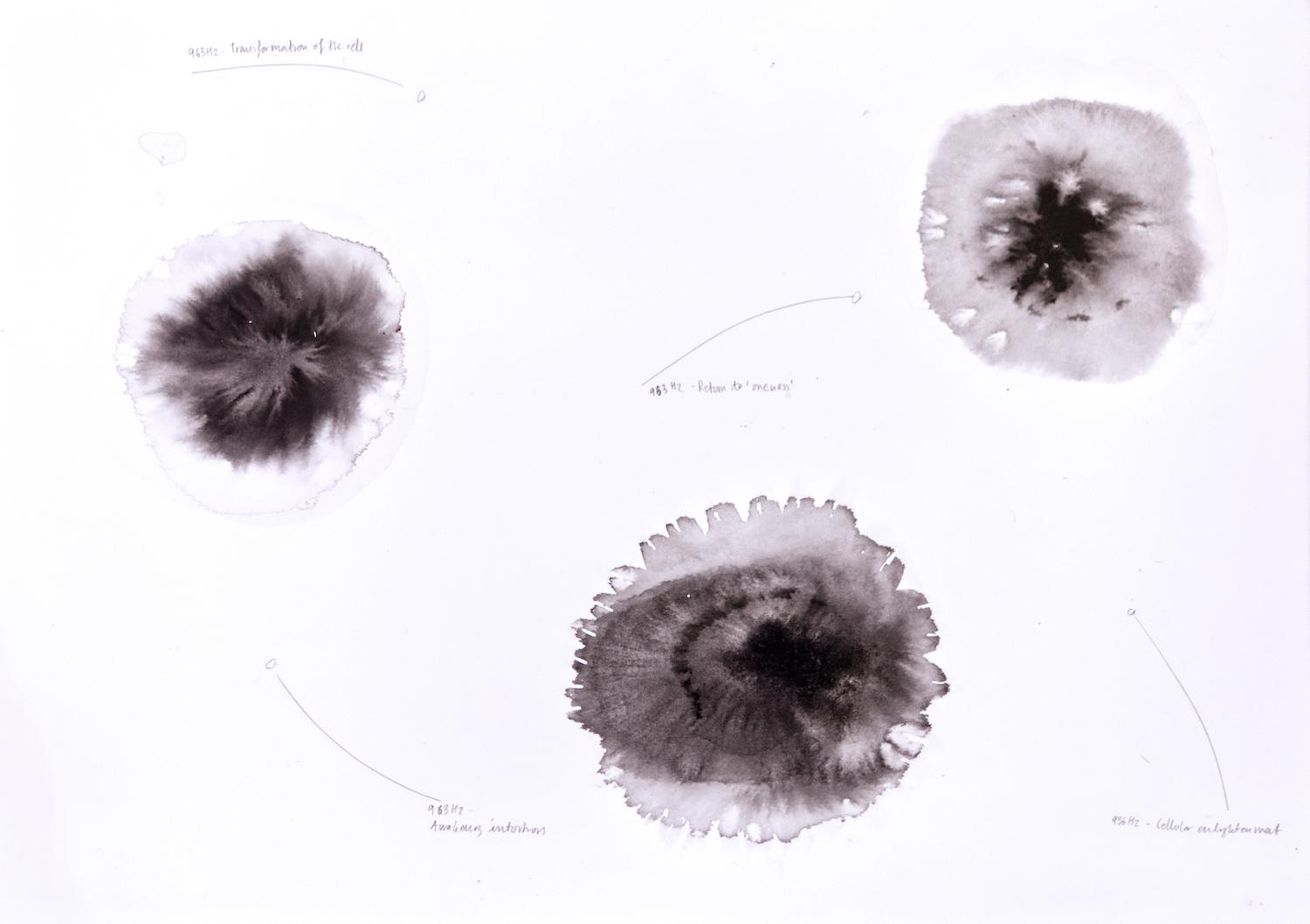 Sara Wallgren: Sympathetic Resonances - Pro Artibus